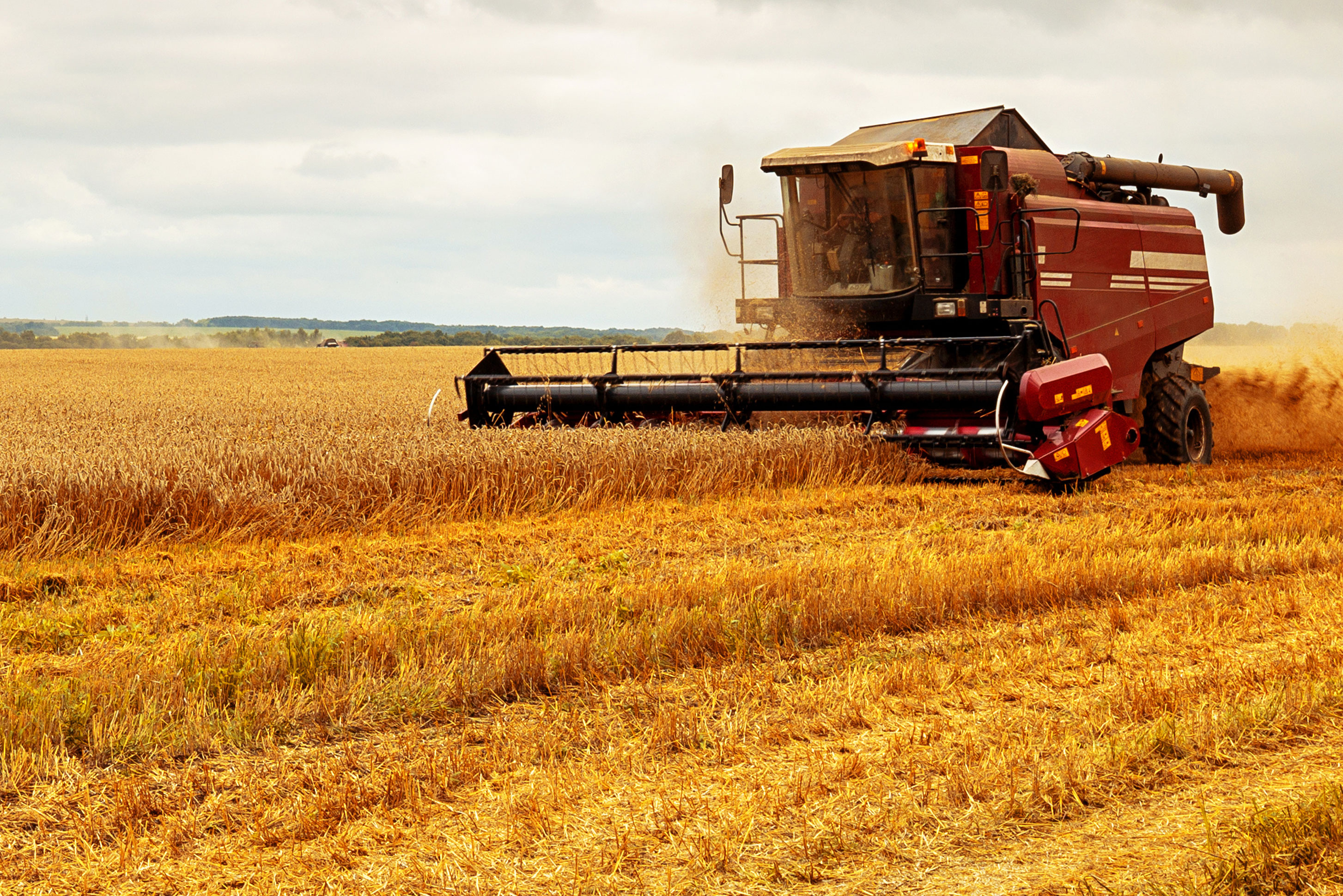 Unser Programm Für Die Landwirtschaft In Voerde › Spd Voerde
